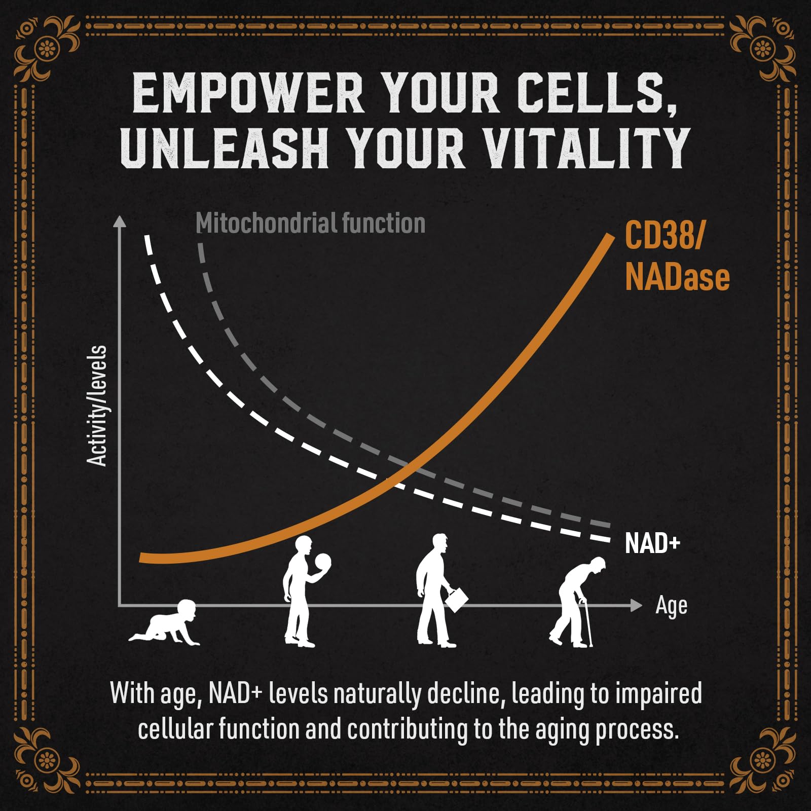 blended vitamins for optimal cellular function