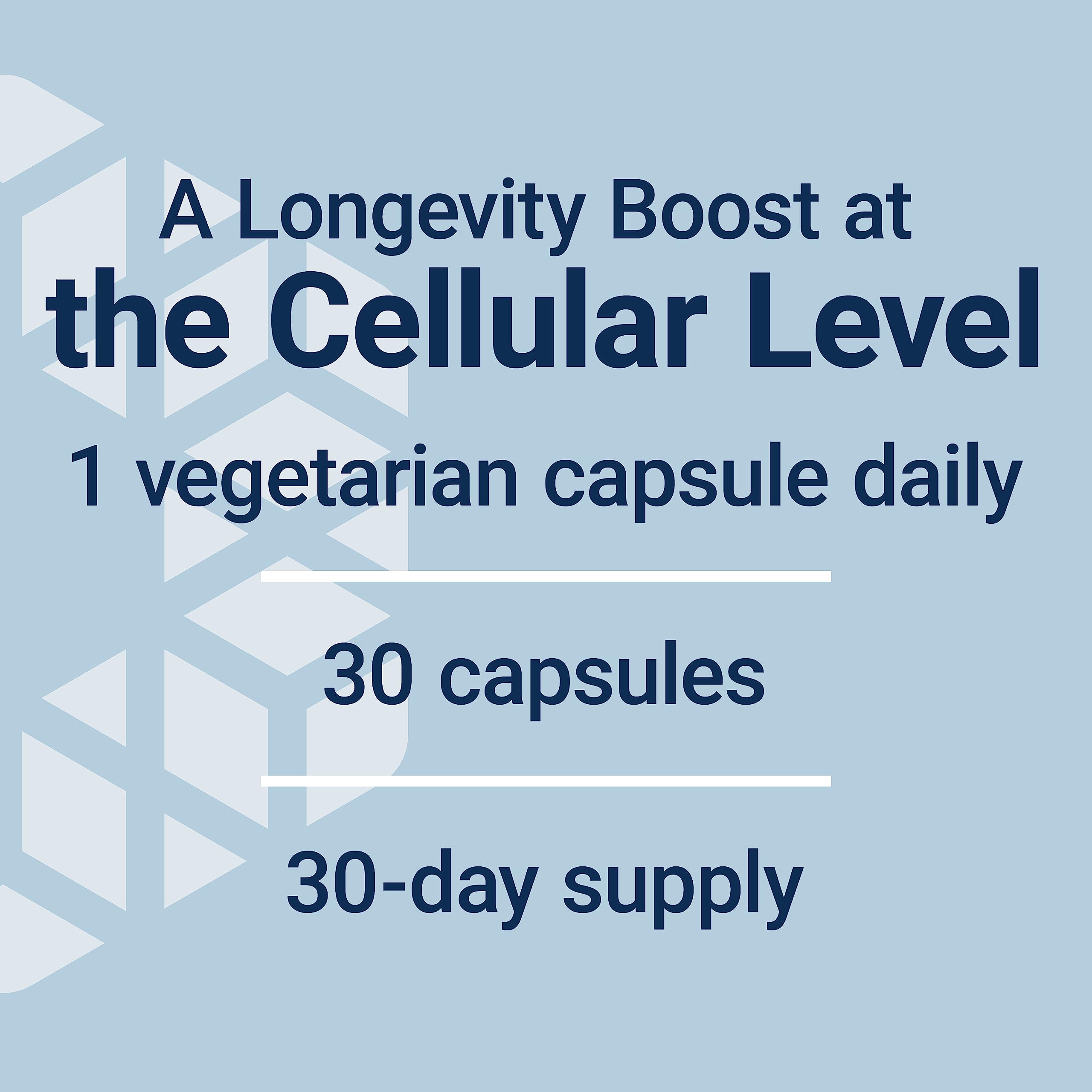 blended vitamins for overall wellness