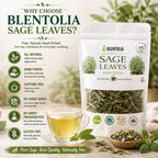 BLENTOLIA herbal sage tea benefits