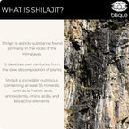 Blisque Shilajit for overall wellness