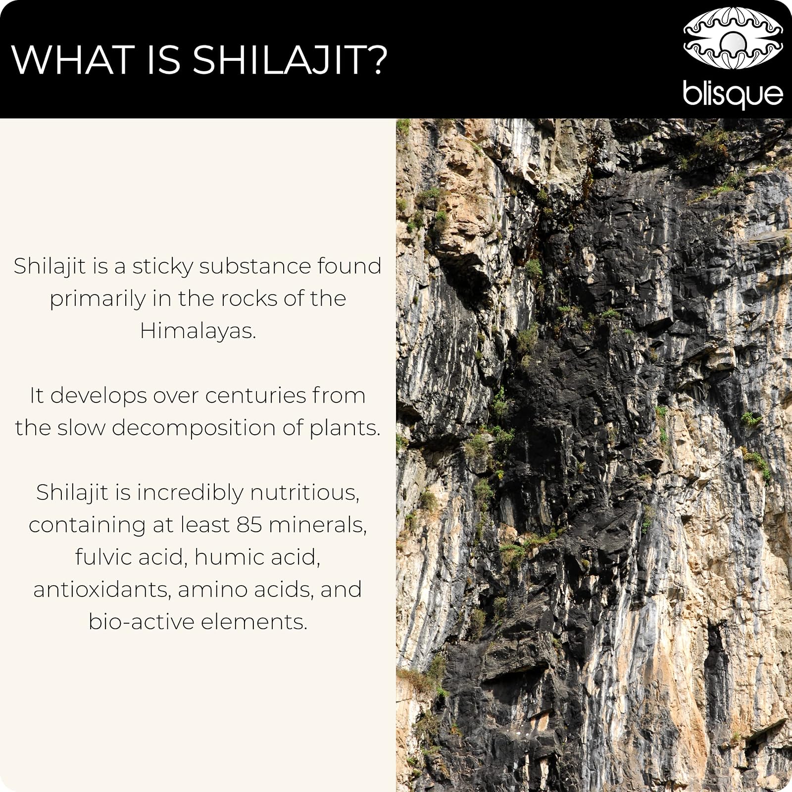 Blisque Shilajit for overall wellness