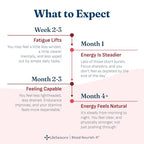 Blood Nourish-R iron benefits