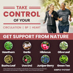 Blood Pressure Support gummy multivitamin option