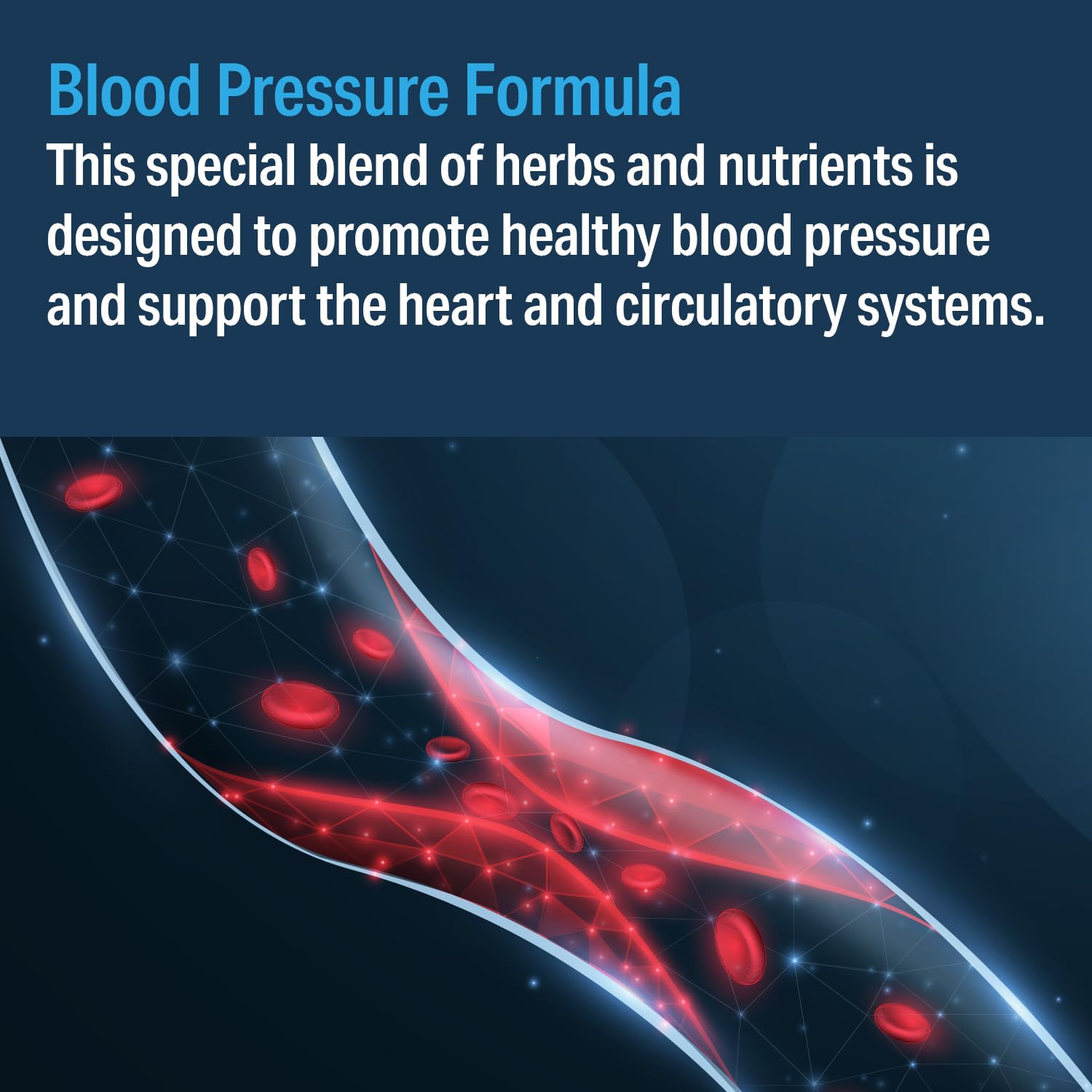 blood pressure support with advanced formula