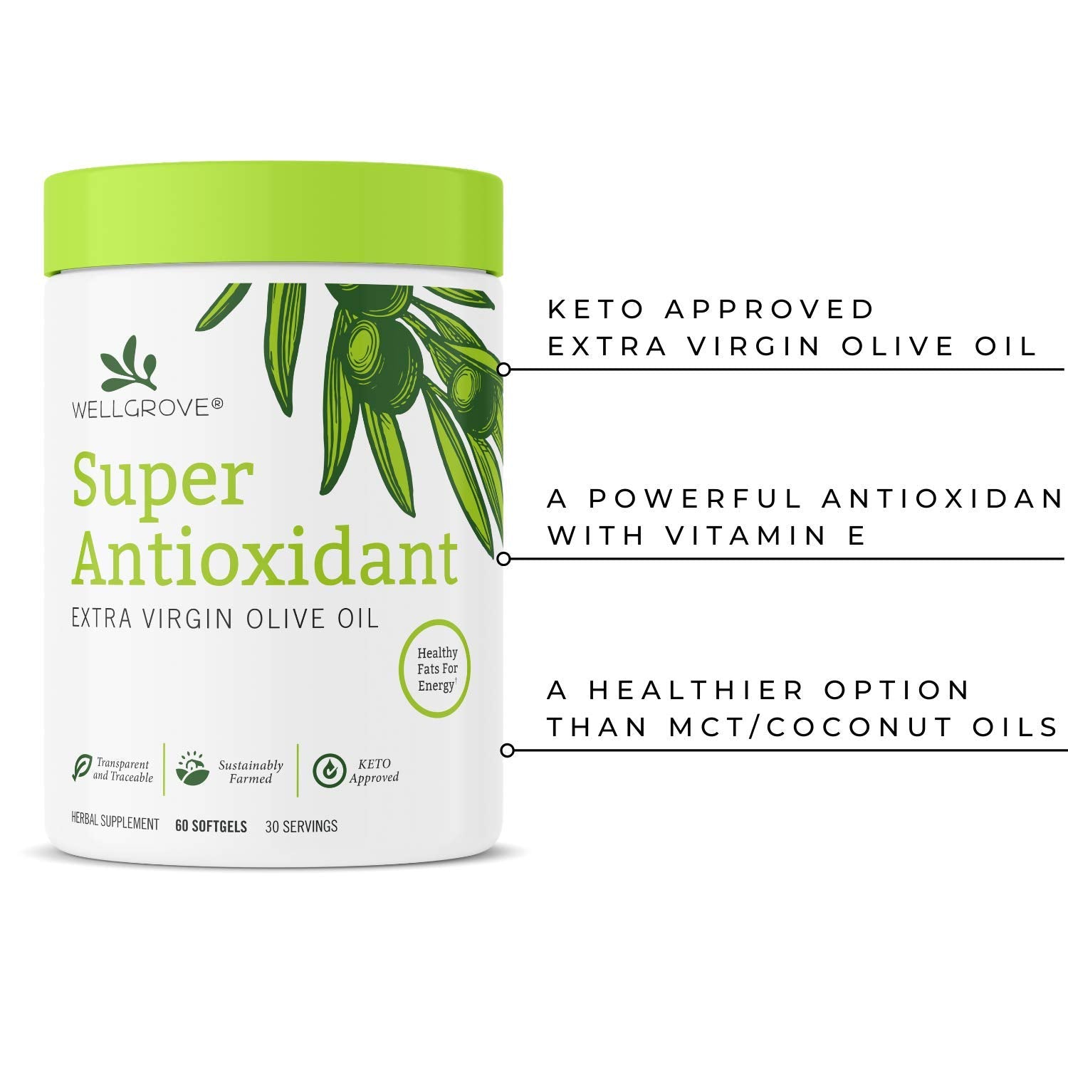 Blood pressure support with olive leaf