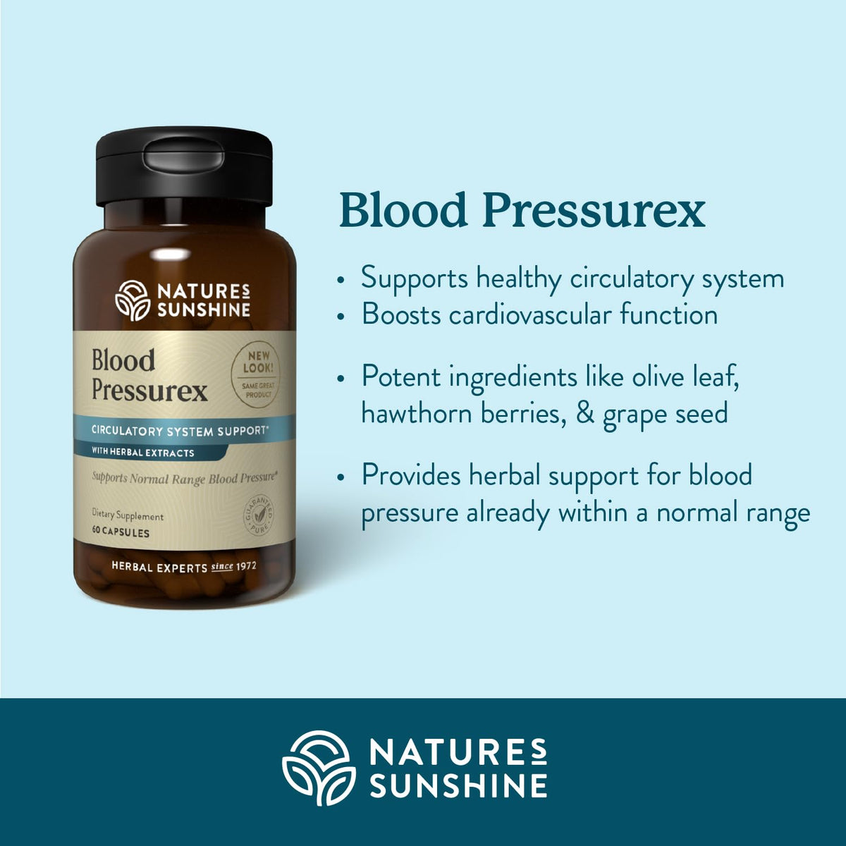 Blood Pressurex multivitamin for seniors