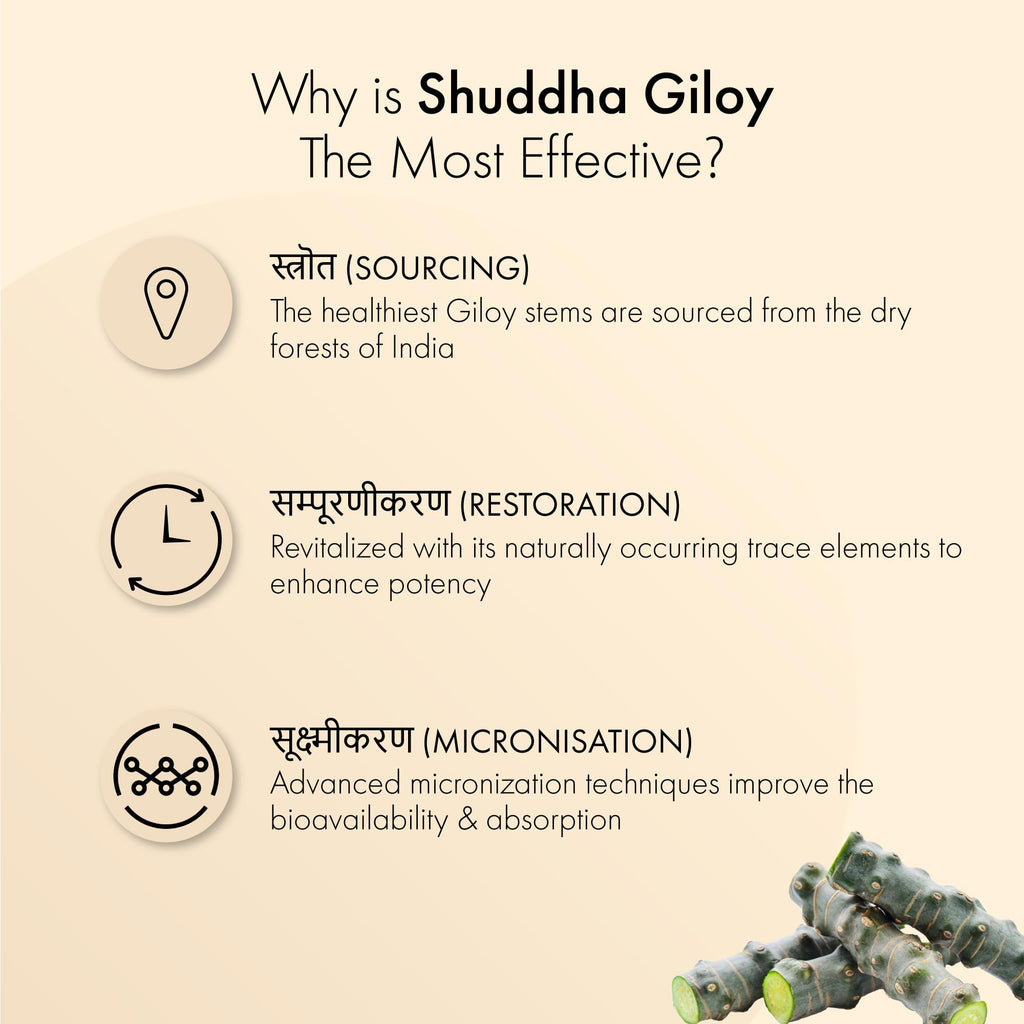 blood purification with natural supplements