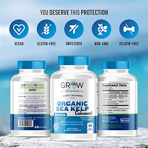 blue-green algae for thyroid health