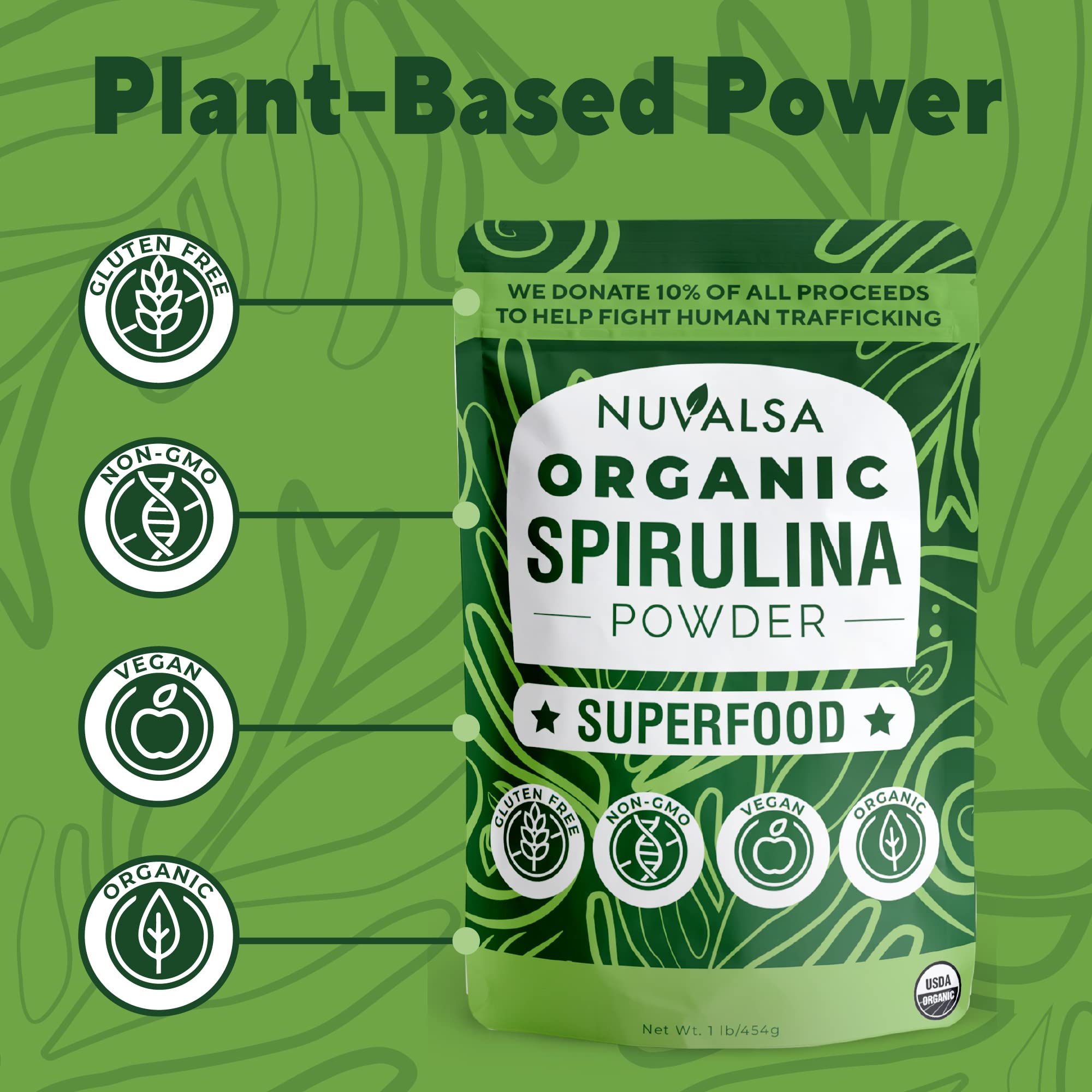 blue green algae spirulina source