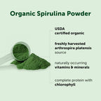 blue-green algae superfood benefits