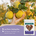 Blue Mallow and Quince tea for digestion