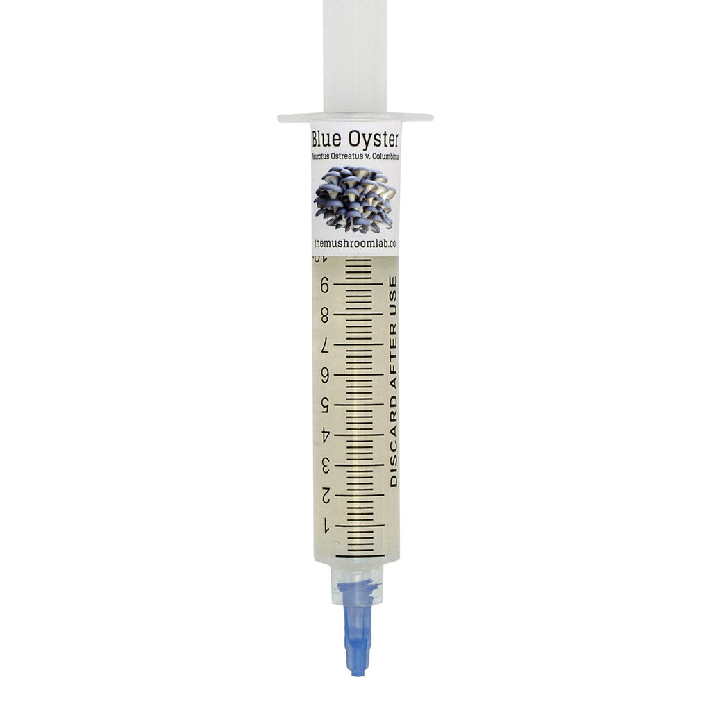 Blue oyster mushroom liquid culture kit