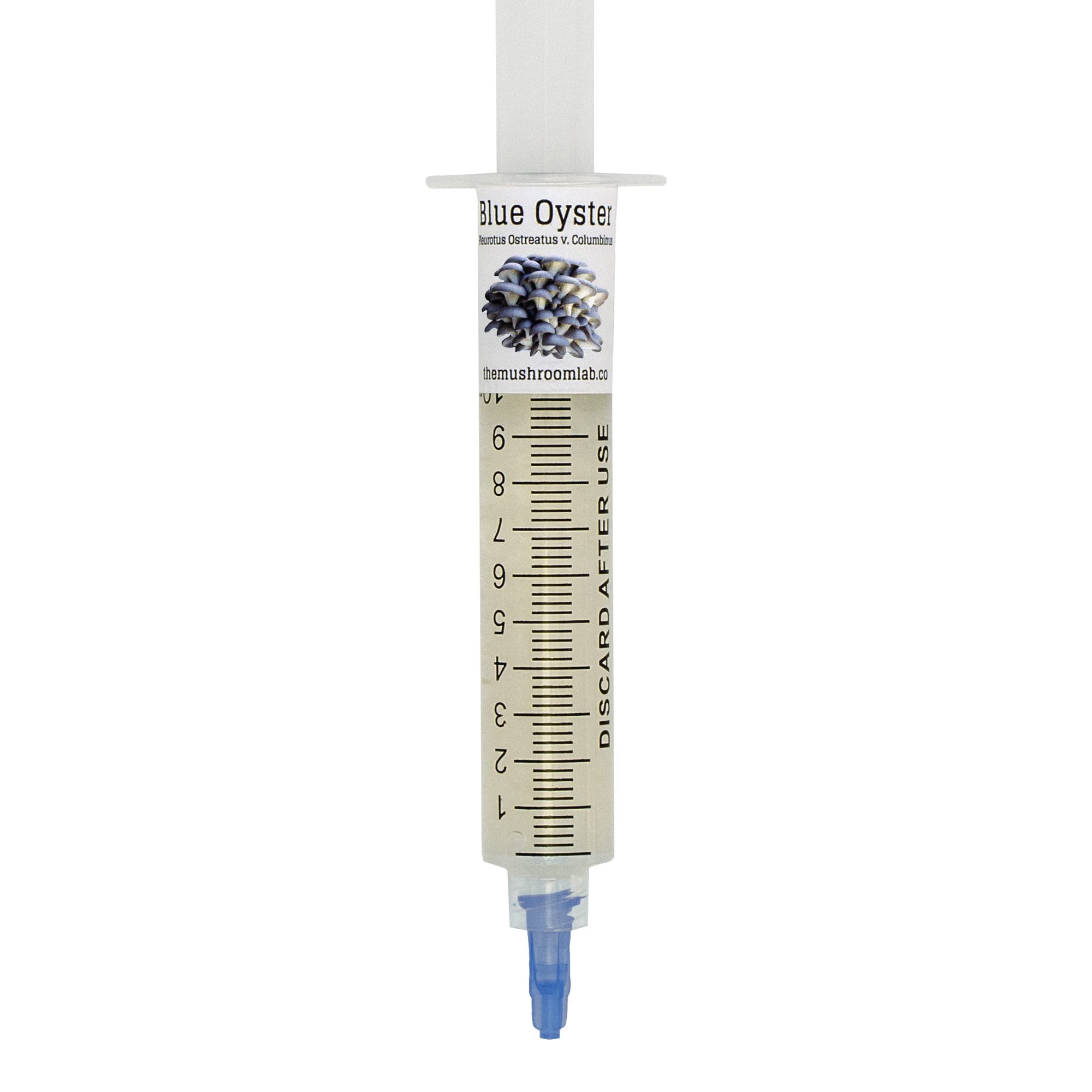 Blue oyster mushroom liquid culture kit
