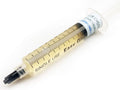 blue oyster mushroom liquid culture syringe