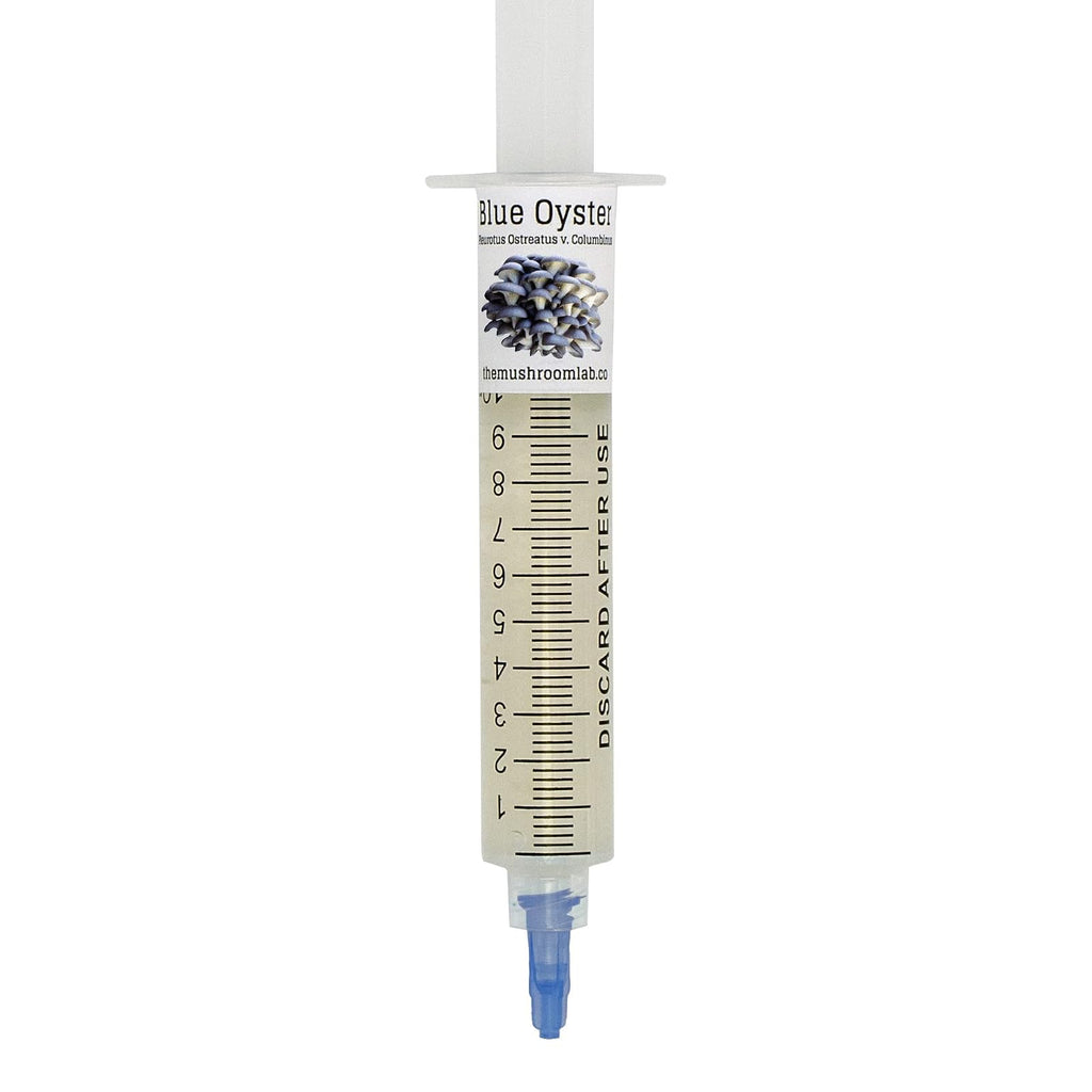 Blue Oyster mushroom liquid culture