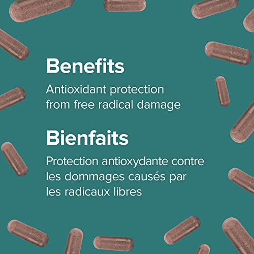 blueberry concentrate for antioxidant benefits