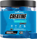 blueberry creatine monohydrate gummies