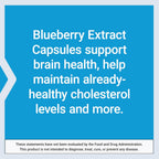 blueberry extract for immune support