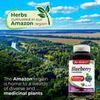 blueberry extract for immune support