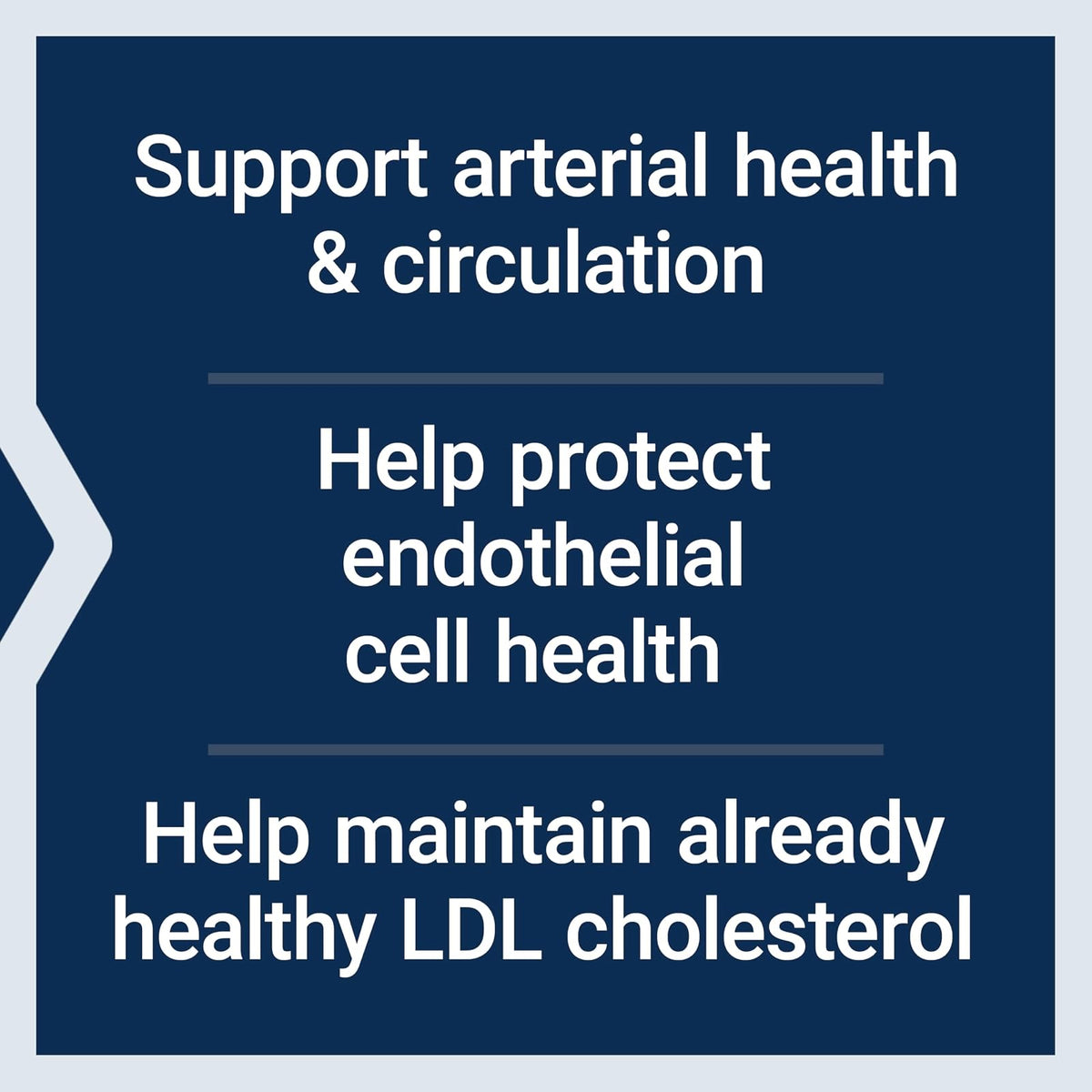 blueberry extract for immune support
