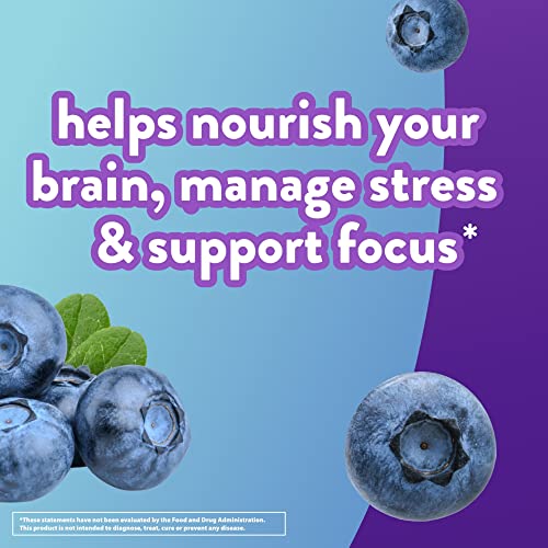 Blueberry flavour brain health gummies