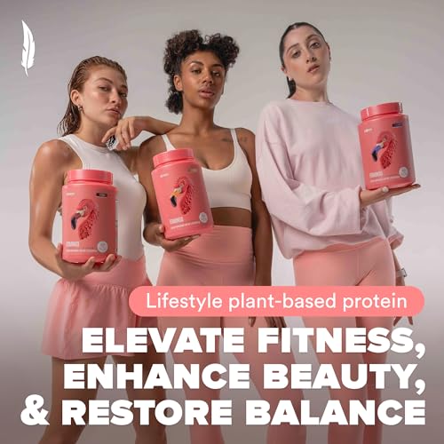 blueberry flavour plant protein supplement