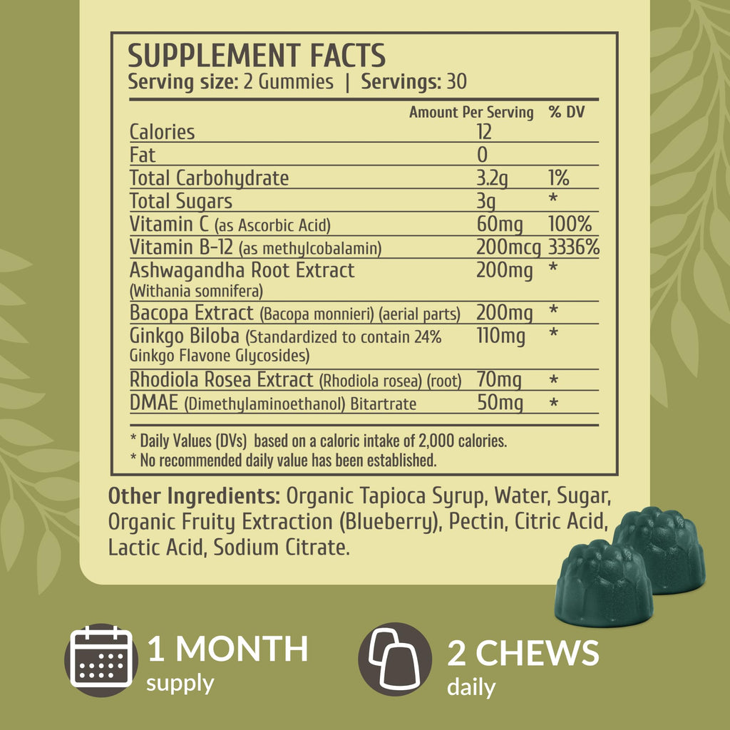 blueberry flavoured ginkgo biloba