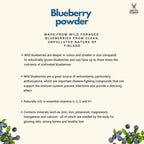 blueberry powder for antioxidant boost