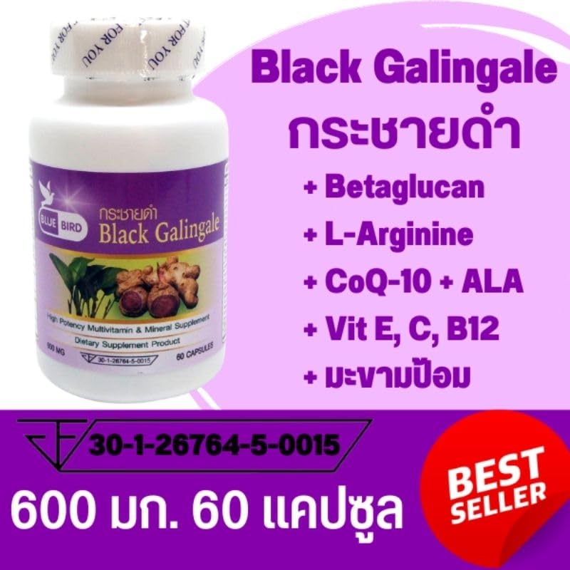bluebird black galingale for holistic benefits