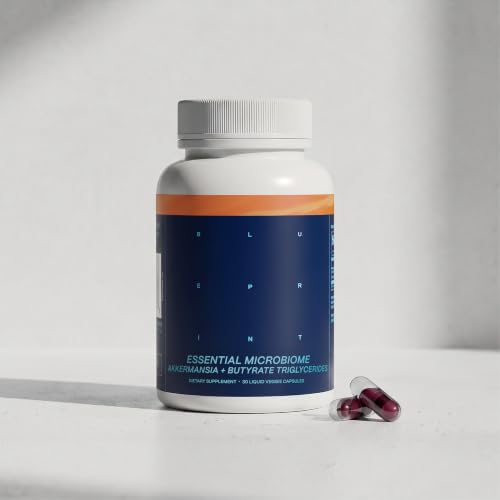 Blueprint probiotics for daily digestive support