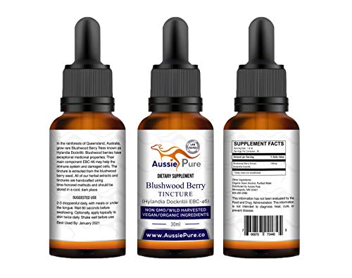 blushwood berry tincture for cell health