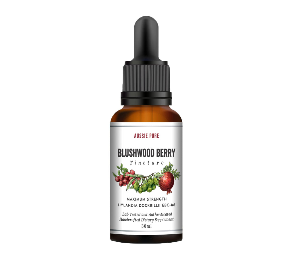 Blushwood Berry tincture for immunity