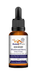 blushwood berry tincture immune support