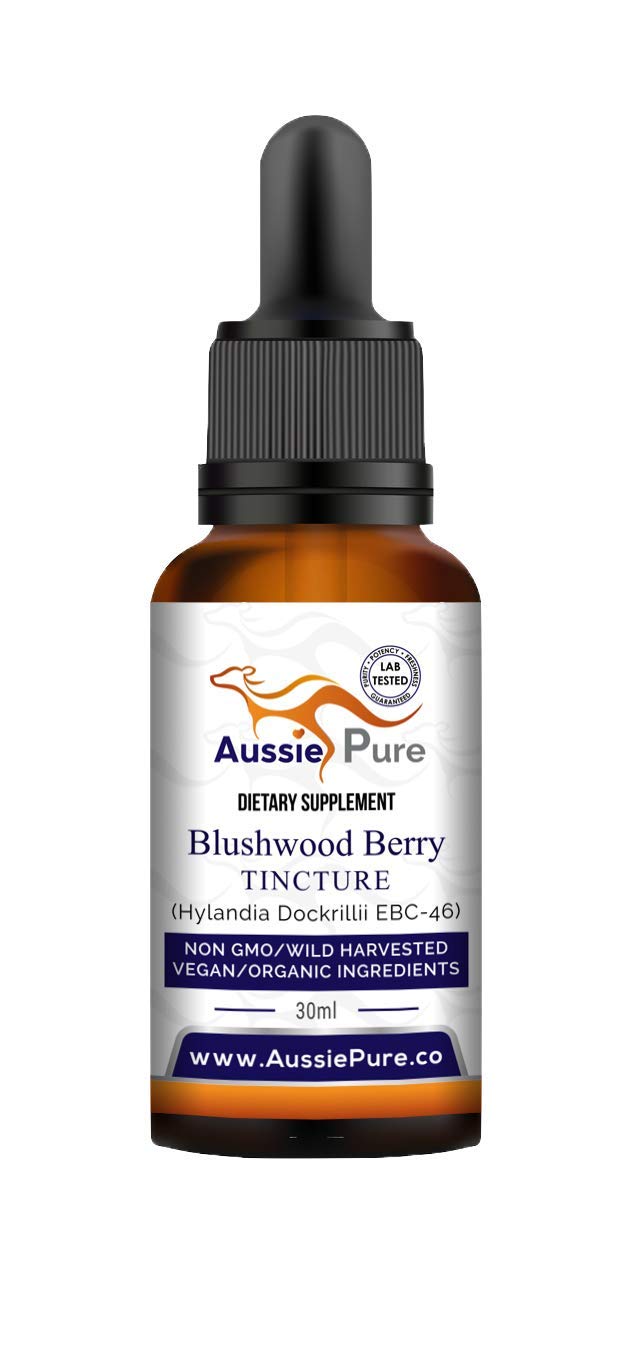 blushwood berry tincture immune support