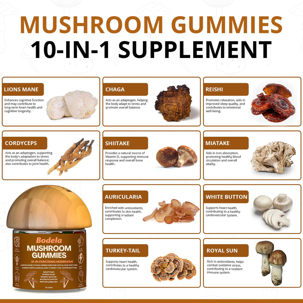 Bodela mushrooms for daily wellness