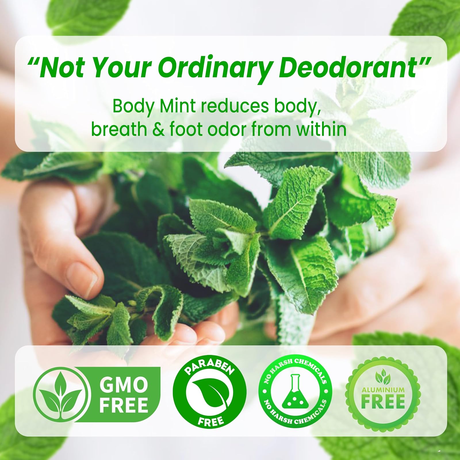 Body Mint supplement for odour control