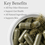 BodyBreeze herbal body deodorant