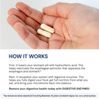 BodyHealth digestive enzymes for bloating relief