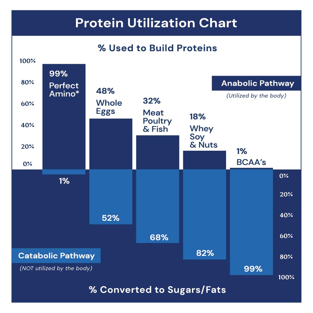 BodyHealth electrolyte tablets for convenient hydration