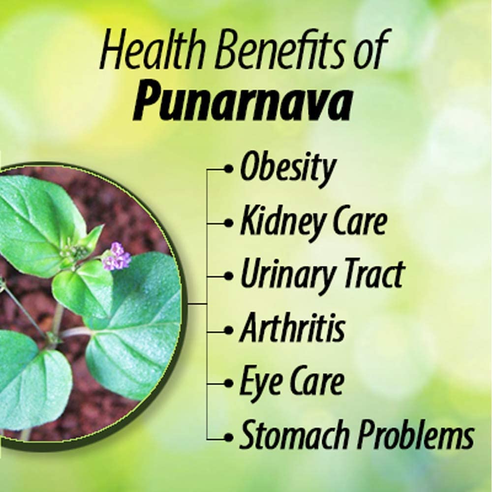 boerhavia diffusa for wellness