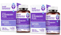 Bold elderberry extract for immunity