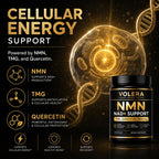 Bone health support capsules