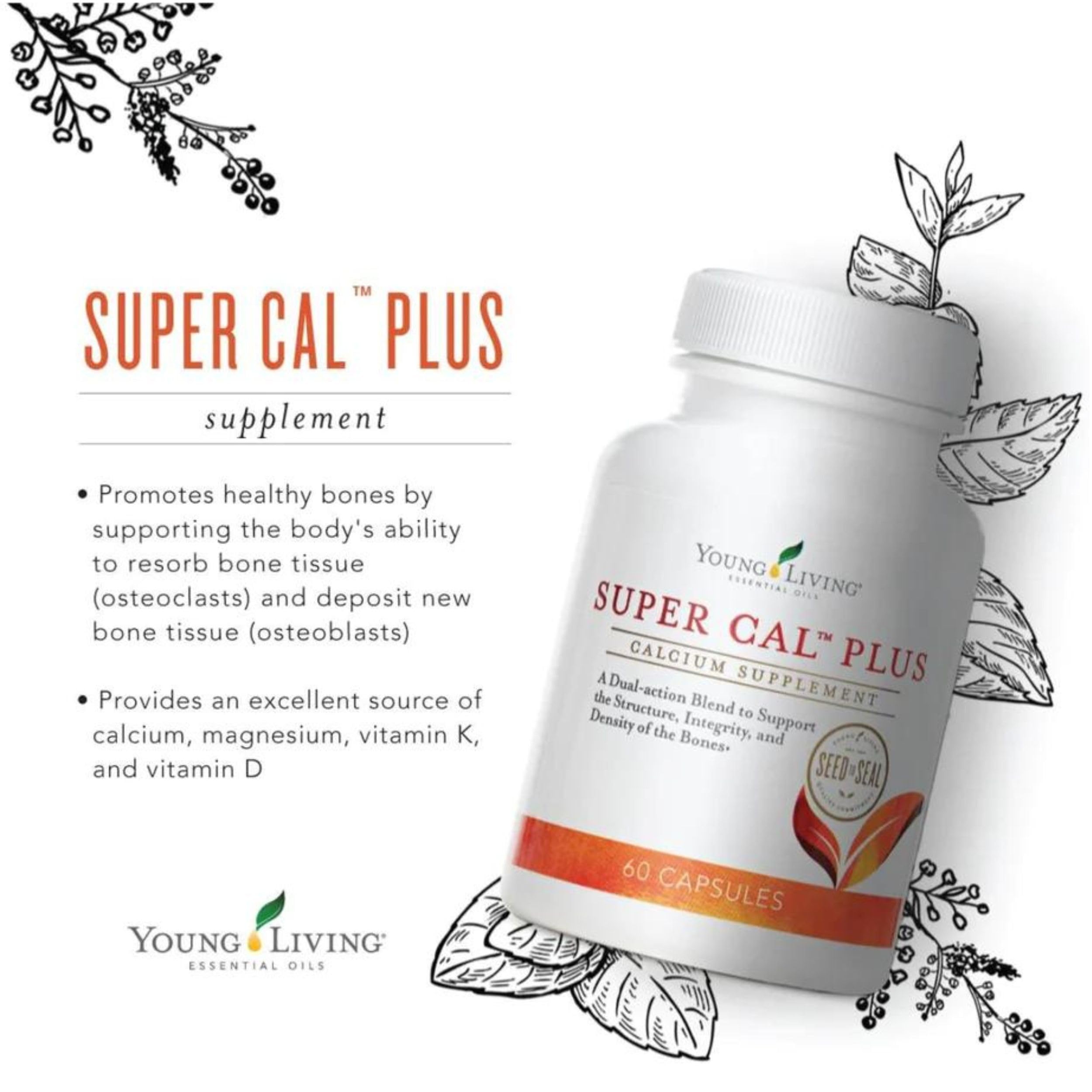 bone health support with calcium