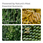 bone health support with Livingood