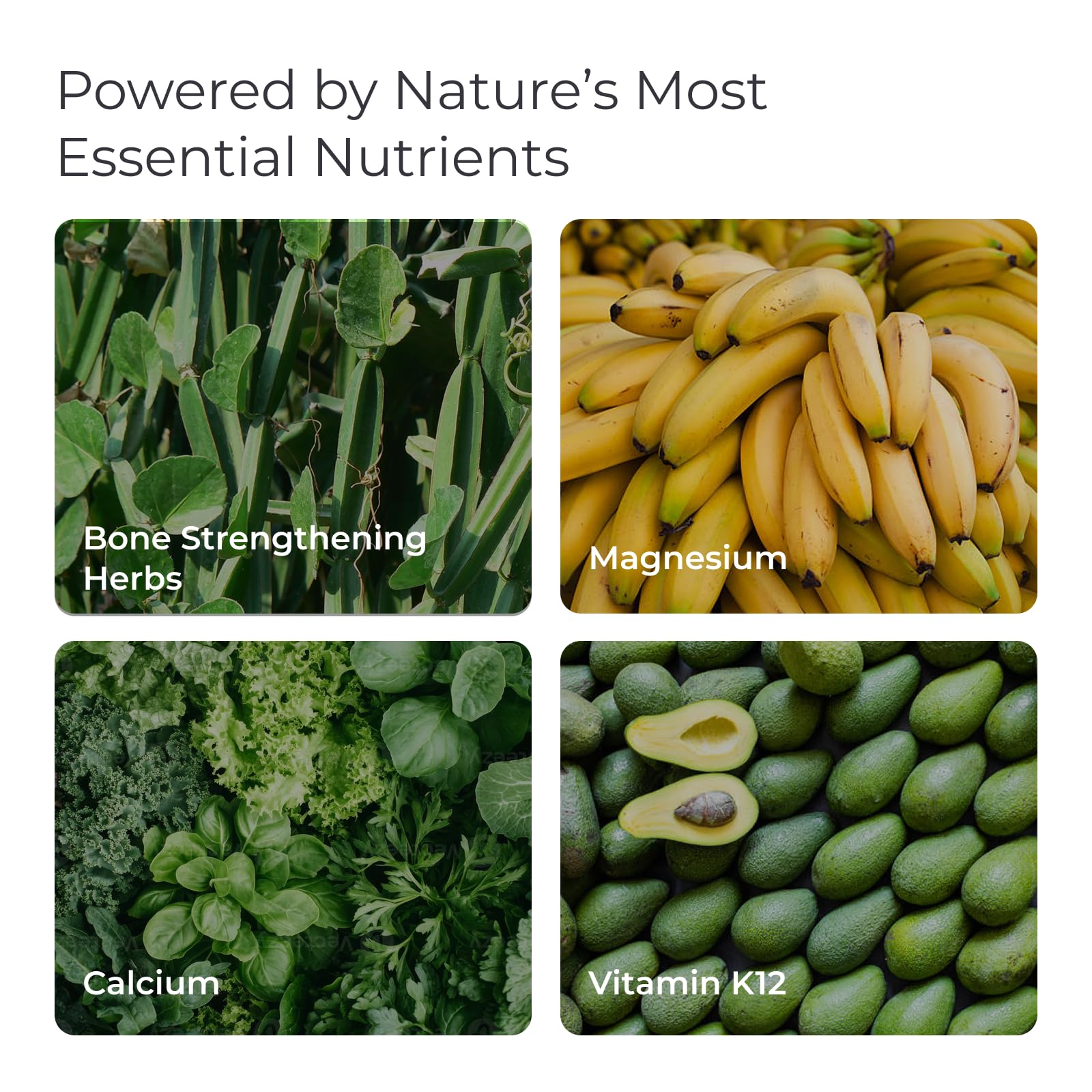 bone health support with Livingood
