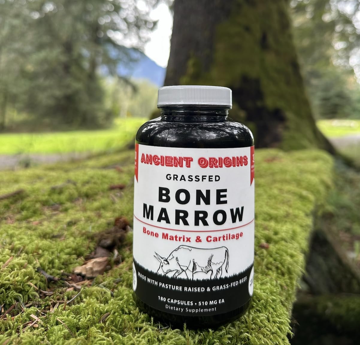 bone marrow capsules for wellness