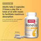 BoneUp capsules for daily calcium intake
