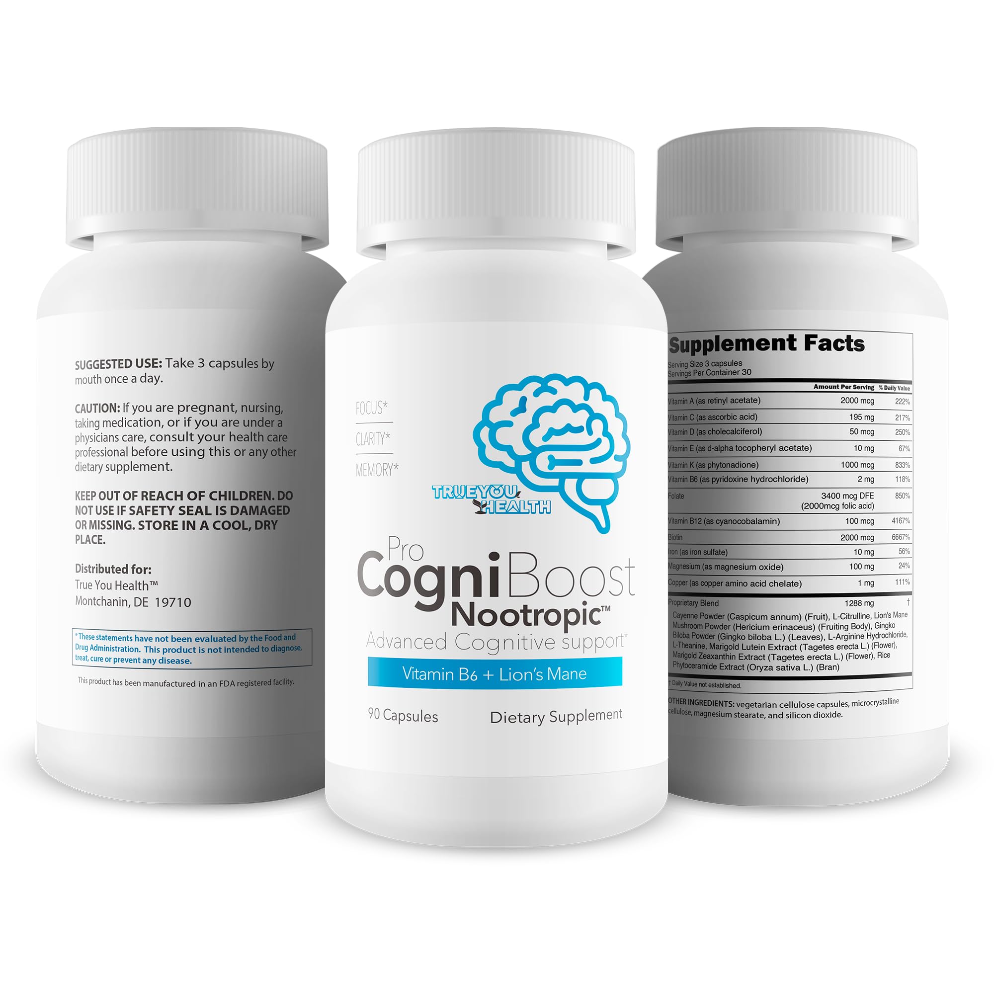 boost brain function with ginkgo biloba