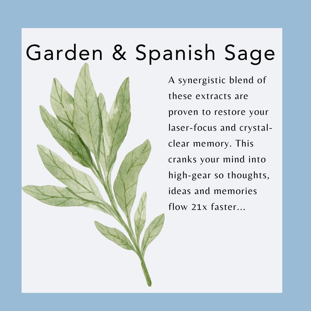 boost brain function with herbs