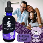 Boost brain health with Cedar Bear